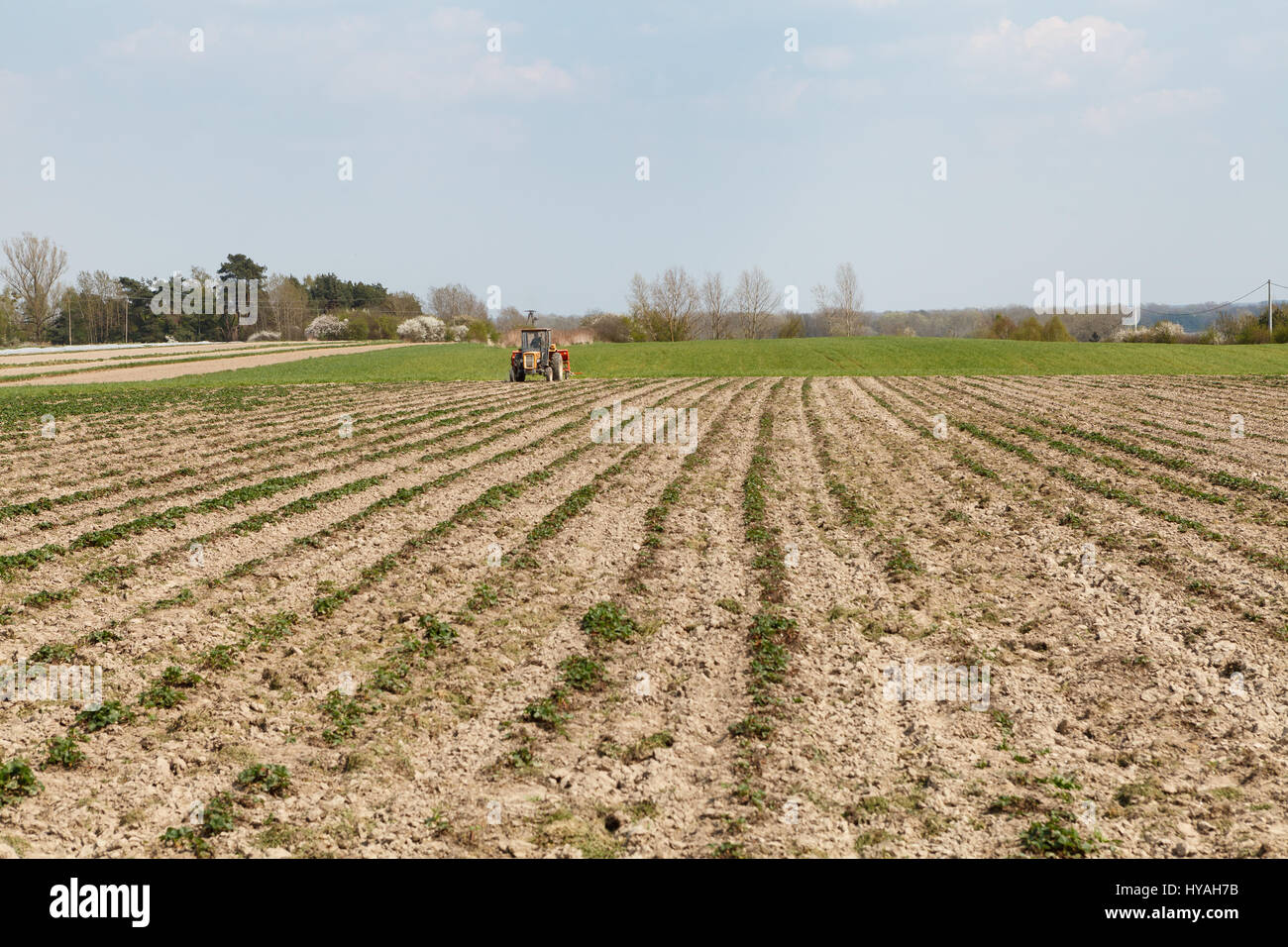 Plowing the field Stock Photo - Alamy