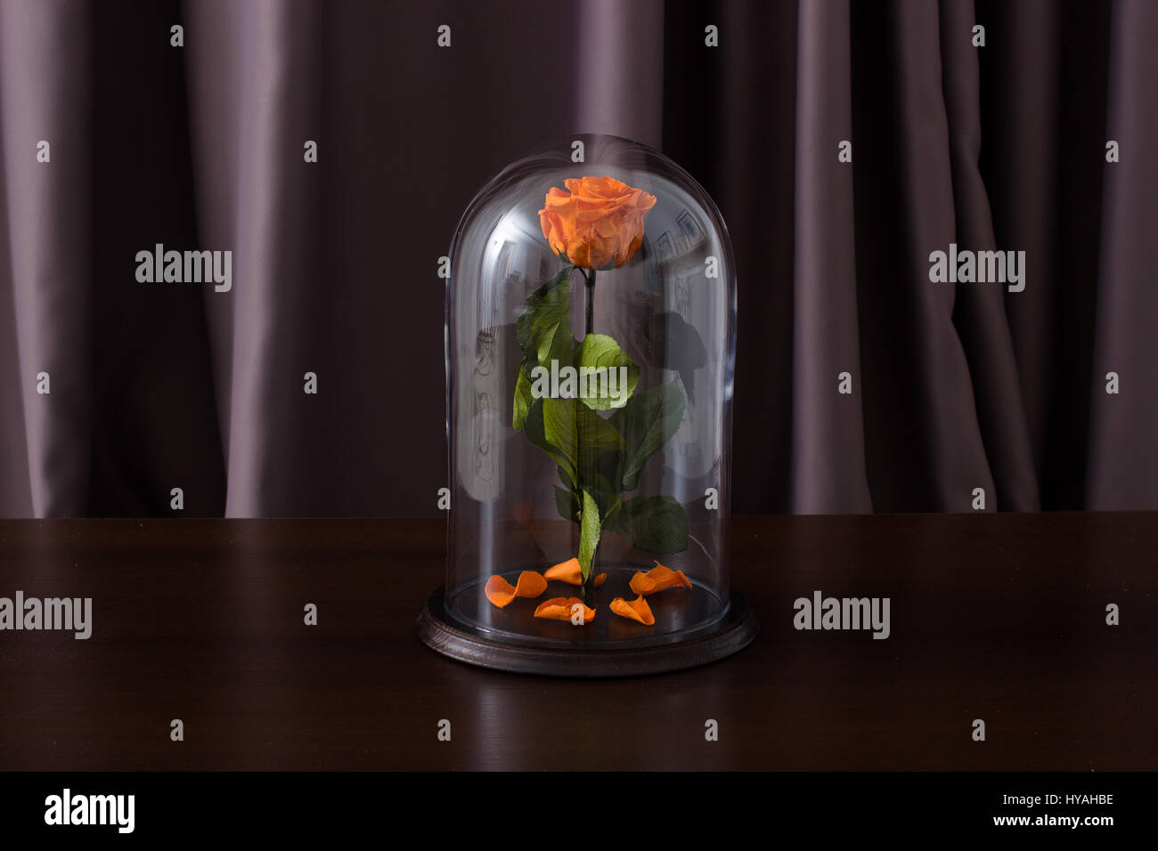 8 beauty hi-res stock photography and images - Alamy