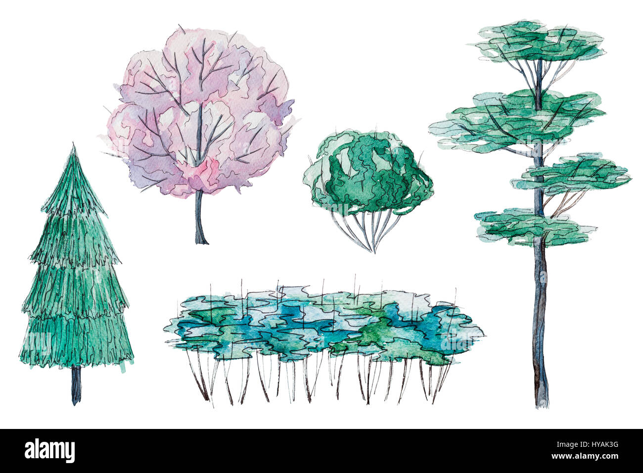 Set of isolated watercolor green and pink trees Stock Photo - Alamy
