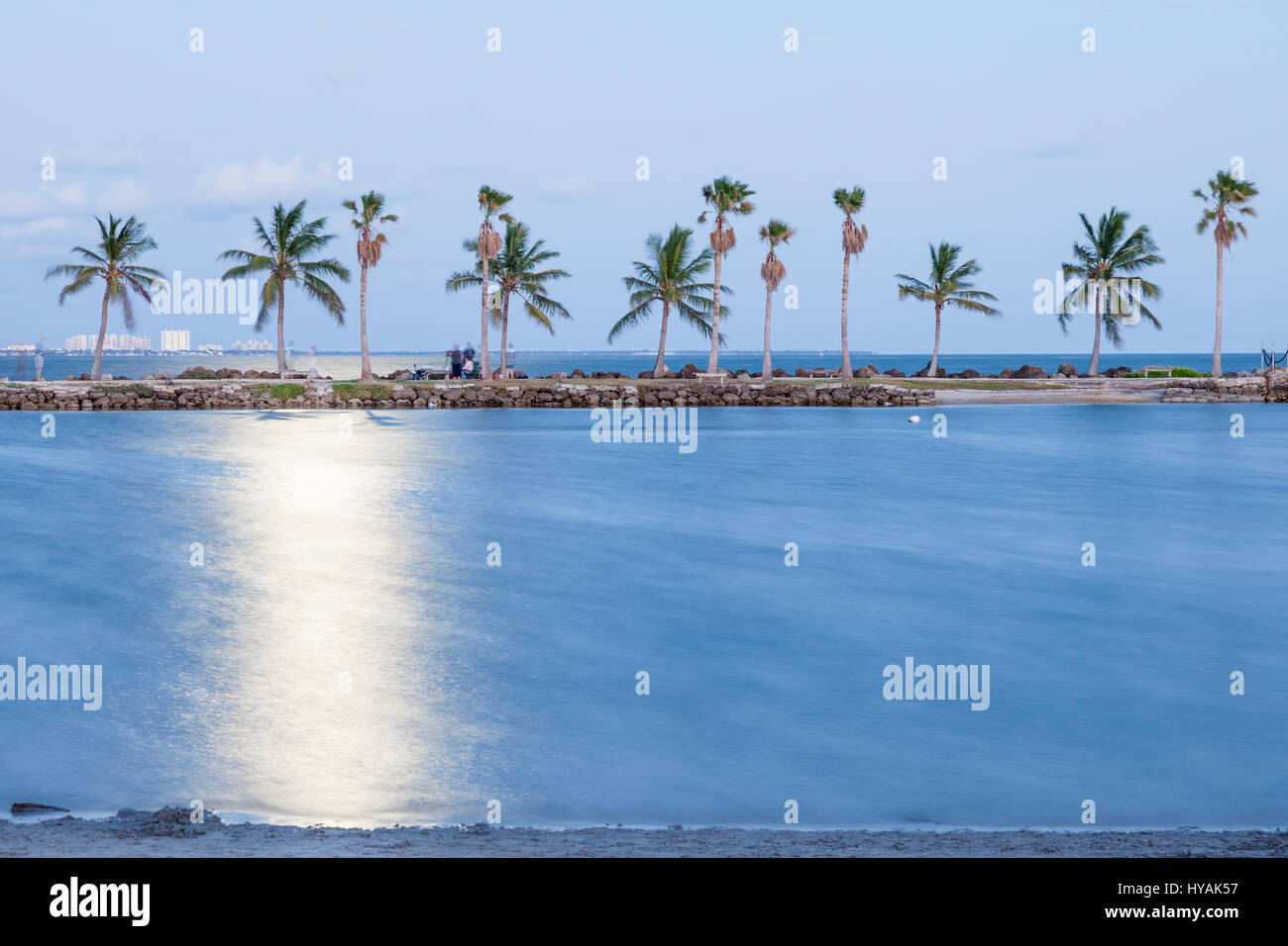 Beautiful tropical beach at the moon light in Miami, Florida, United ...