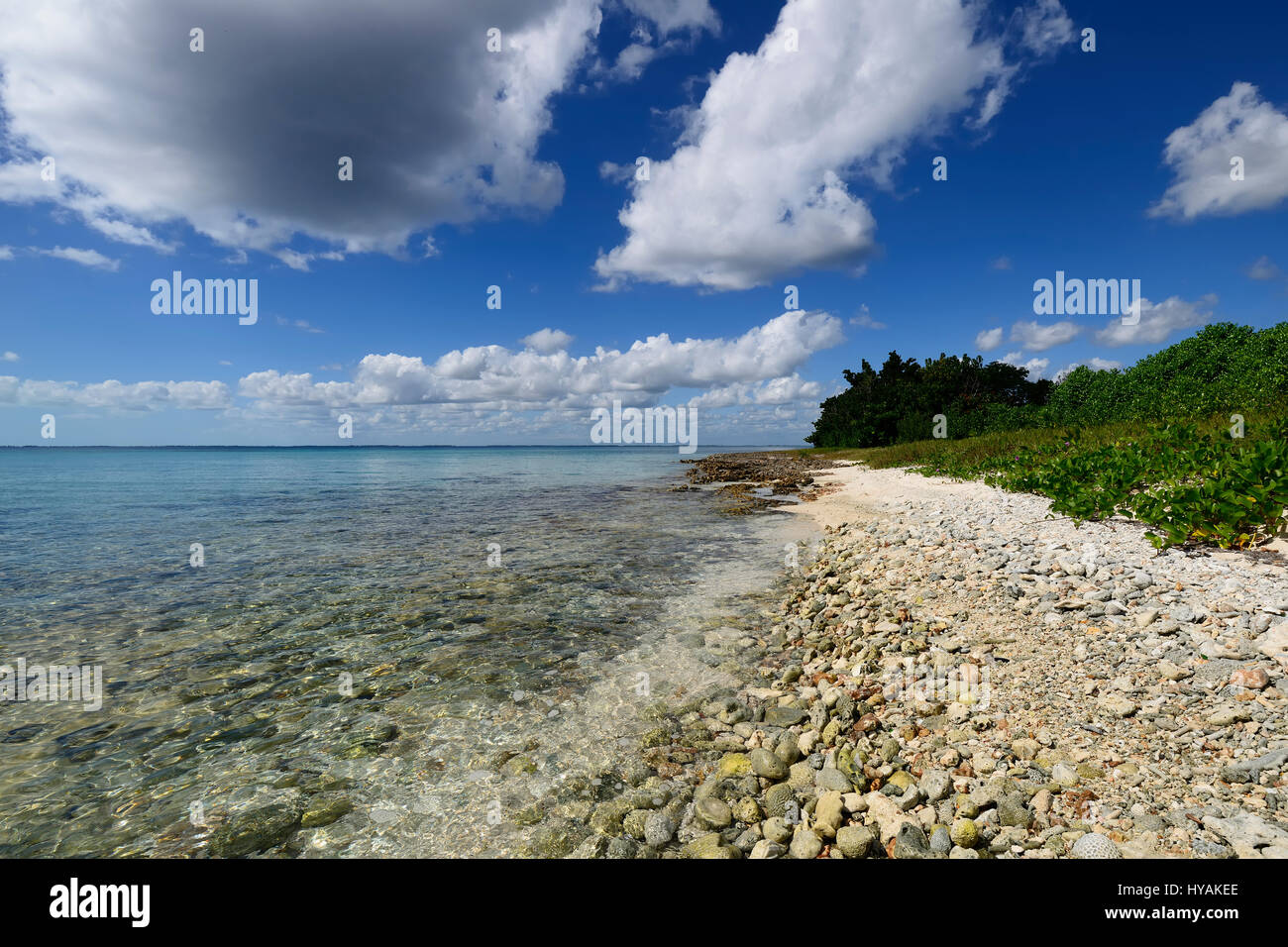 Cuba coast nature hi-res stock photography and images - Alamy