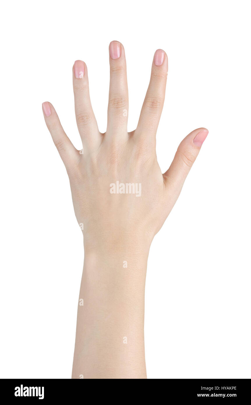 Woman hand isolated on white Stock Photo - Alamy