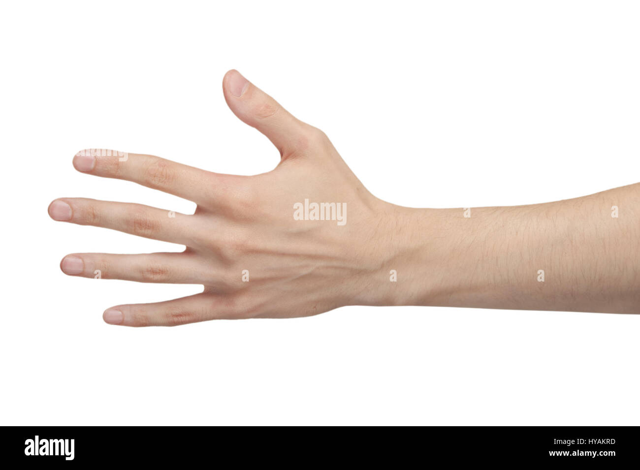 Male hand isolated Stock Photo - Alamy