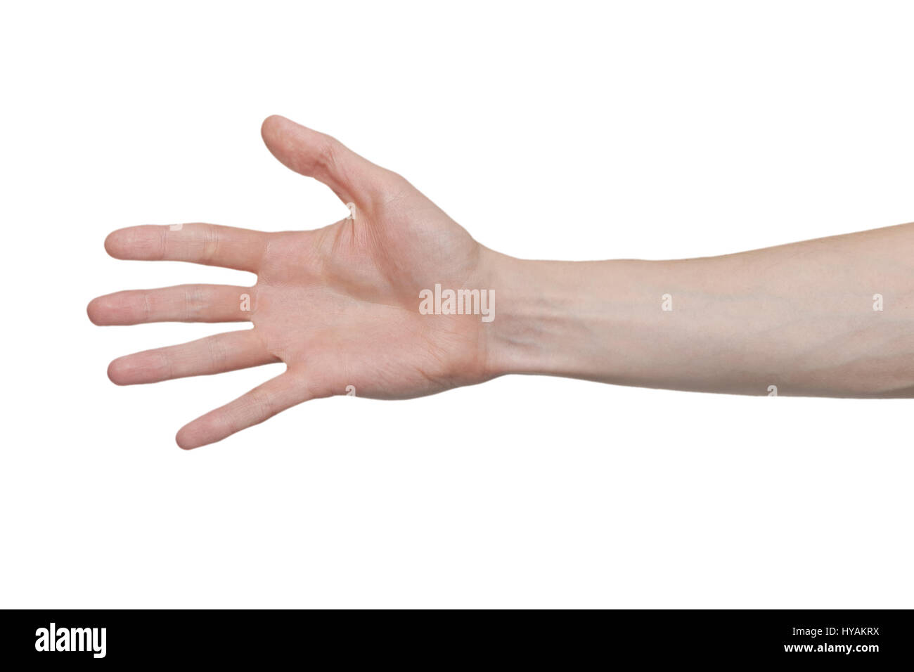 Male hand isolated on white background Stock Photo - Alamy