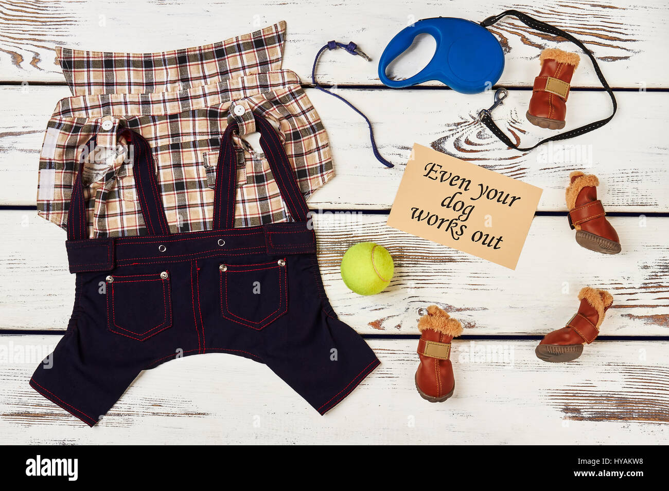 Ball, shoes and leash Stock Photo - Alamy