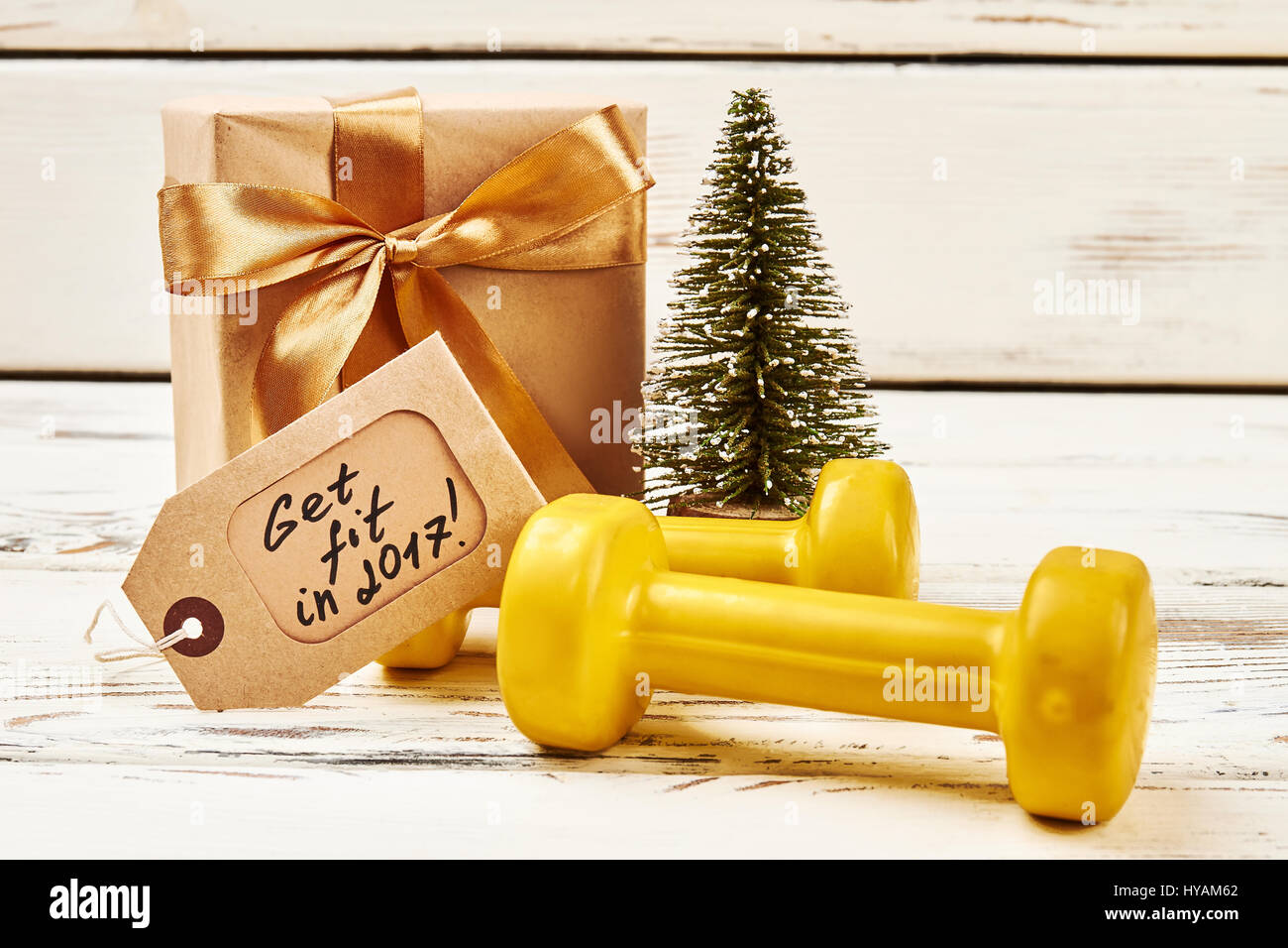 Tree to box hi-res stock photography and images - Alamy