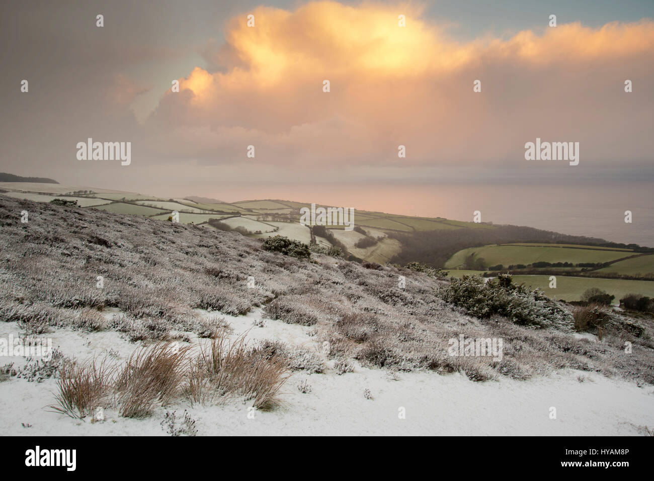 Exmoor Winter Sun High Resolution Stock Photography and Images - Alamy