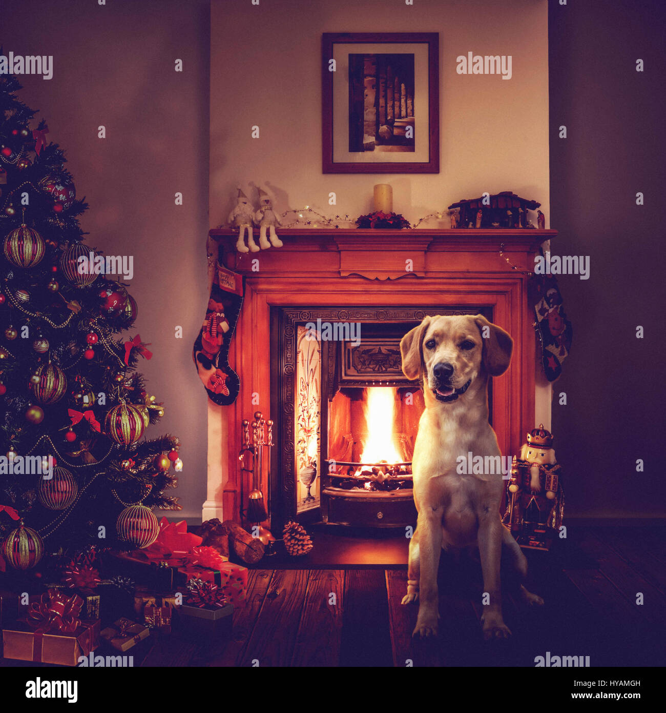 Front and back quirky hi-res stock photography and images - Alamy