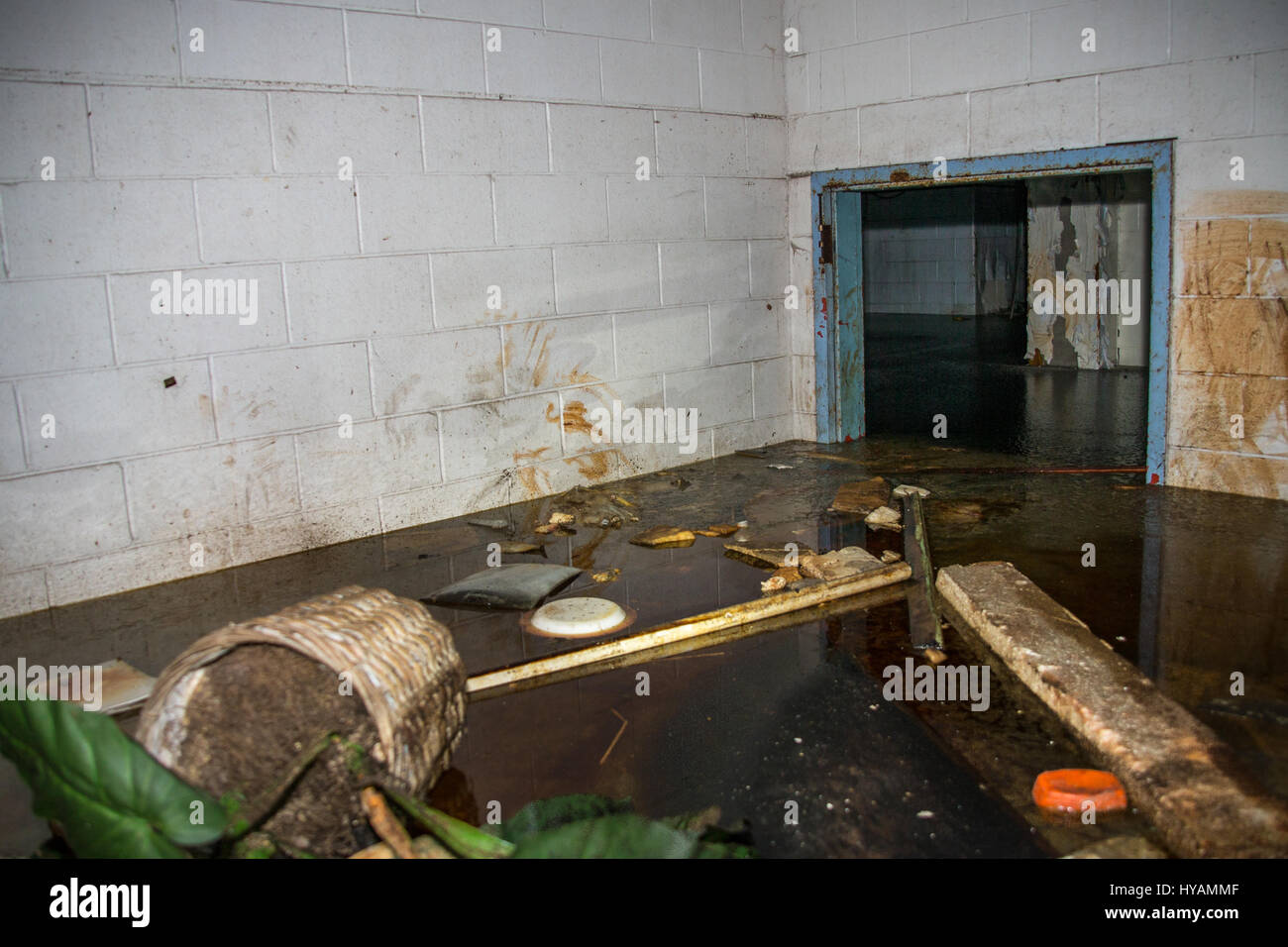 1960s criminal gangs hi-res stock photography and images - Alamy