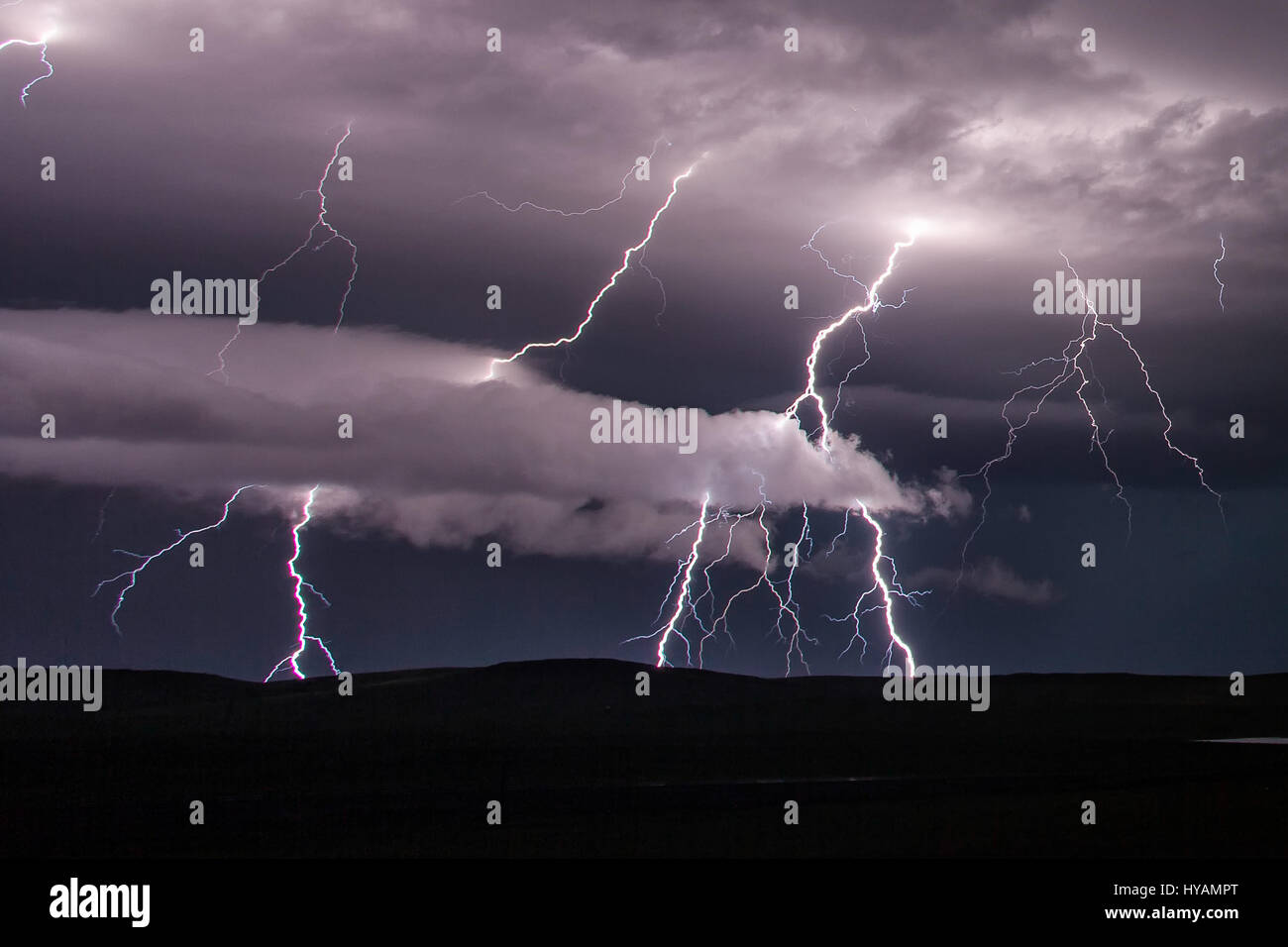 Ferocity Storm