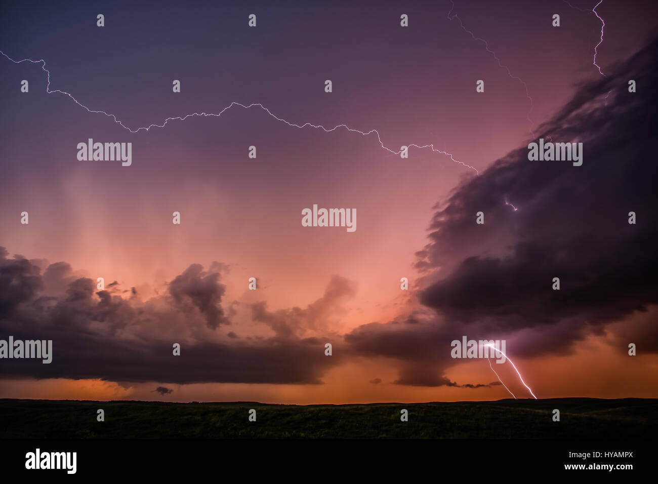 Ferocity Storm