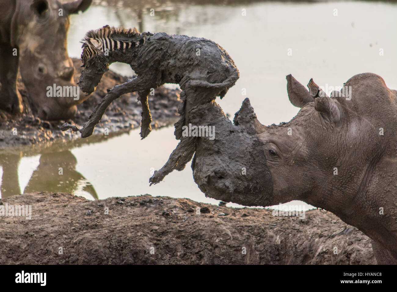 Roel Van Muiden High Resolution Stock Photography and Images - Alamy