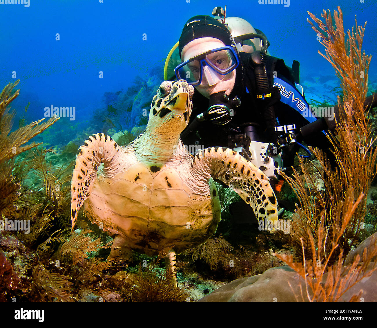 KOMODO, INDONESIA: Photographer Super Jolly posing with a loggerhead ...