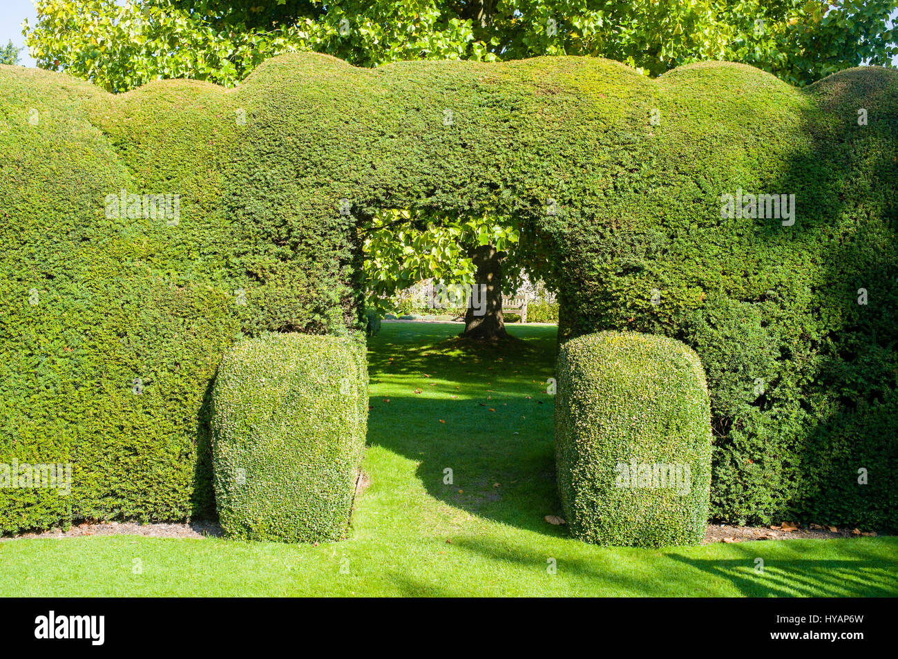Yew hedge with arch hi-res stock photography and images - Alamy