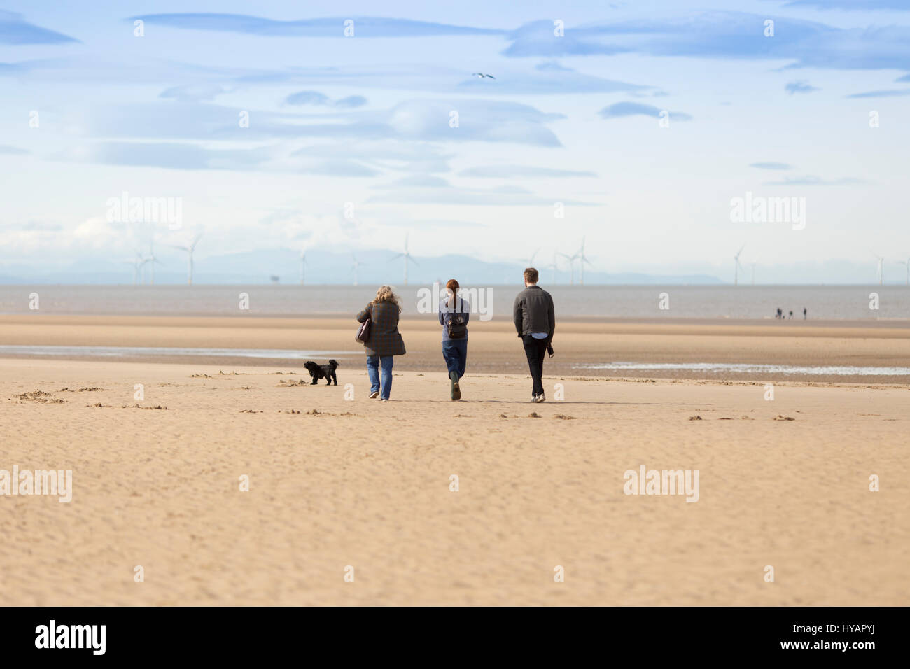 Formby Beach near Liverpool , England. Afamily walk their dog Stock ...