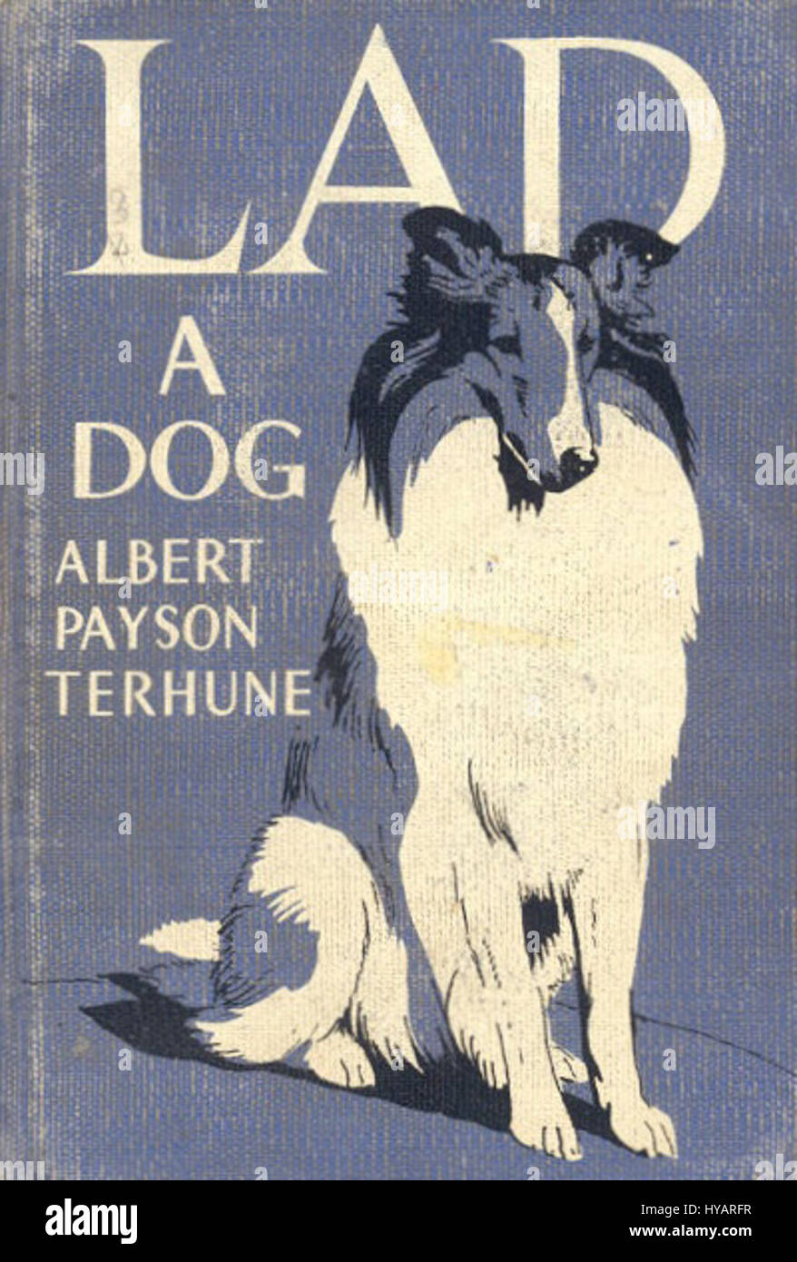 Lad the dog hi-res stock photography and images - Alamy