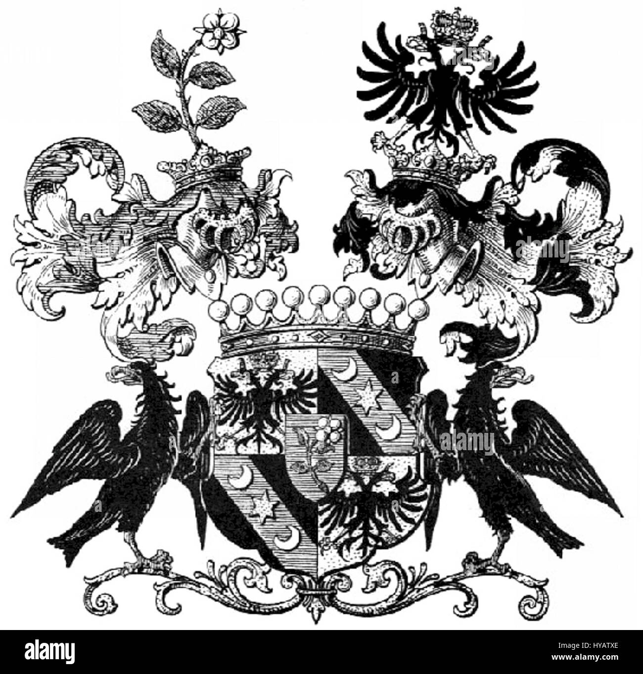 The coat of arms of the Counts of Vrints of Treuenfeld and Falkenstein ...