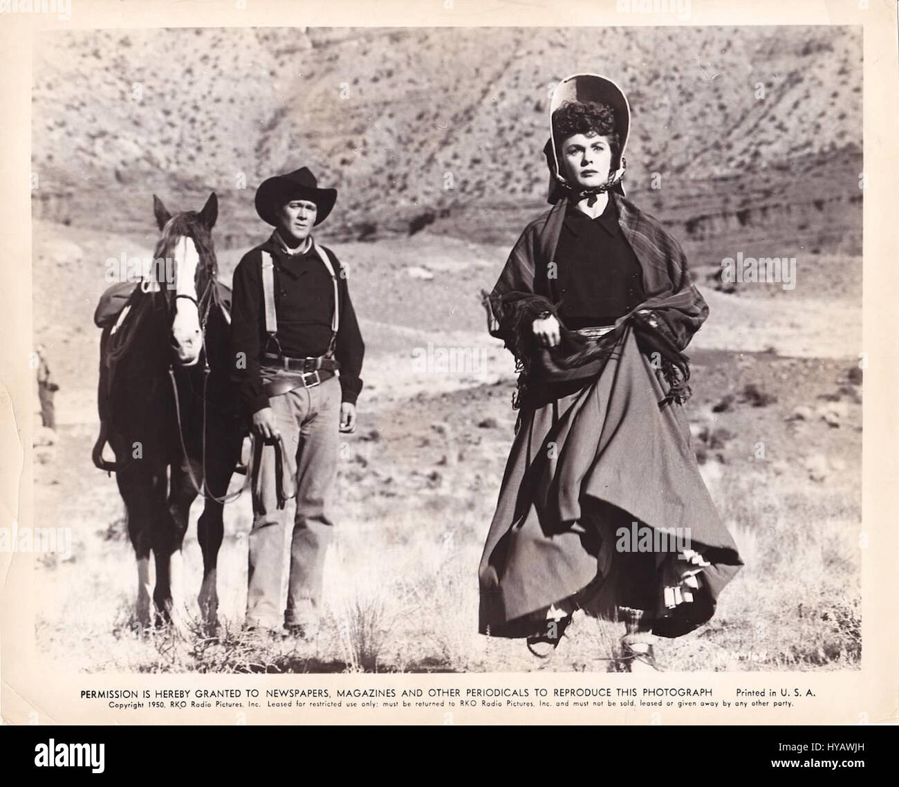 'Wagon Master Still' by Johnson Dru captures the historical era of the ...