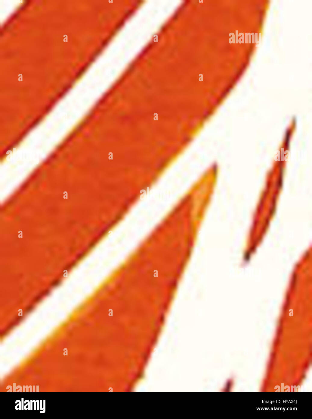 A small portion from the film 'Vertigo,' directed by Alfred Hitchcock ...