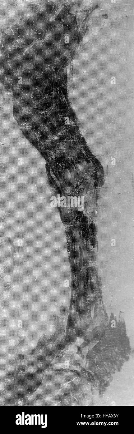 Thomas Eakins' 'Fairman Rogers Horse Leg Study' showcases the artist’s ...