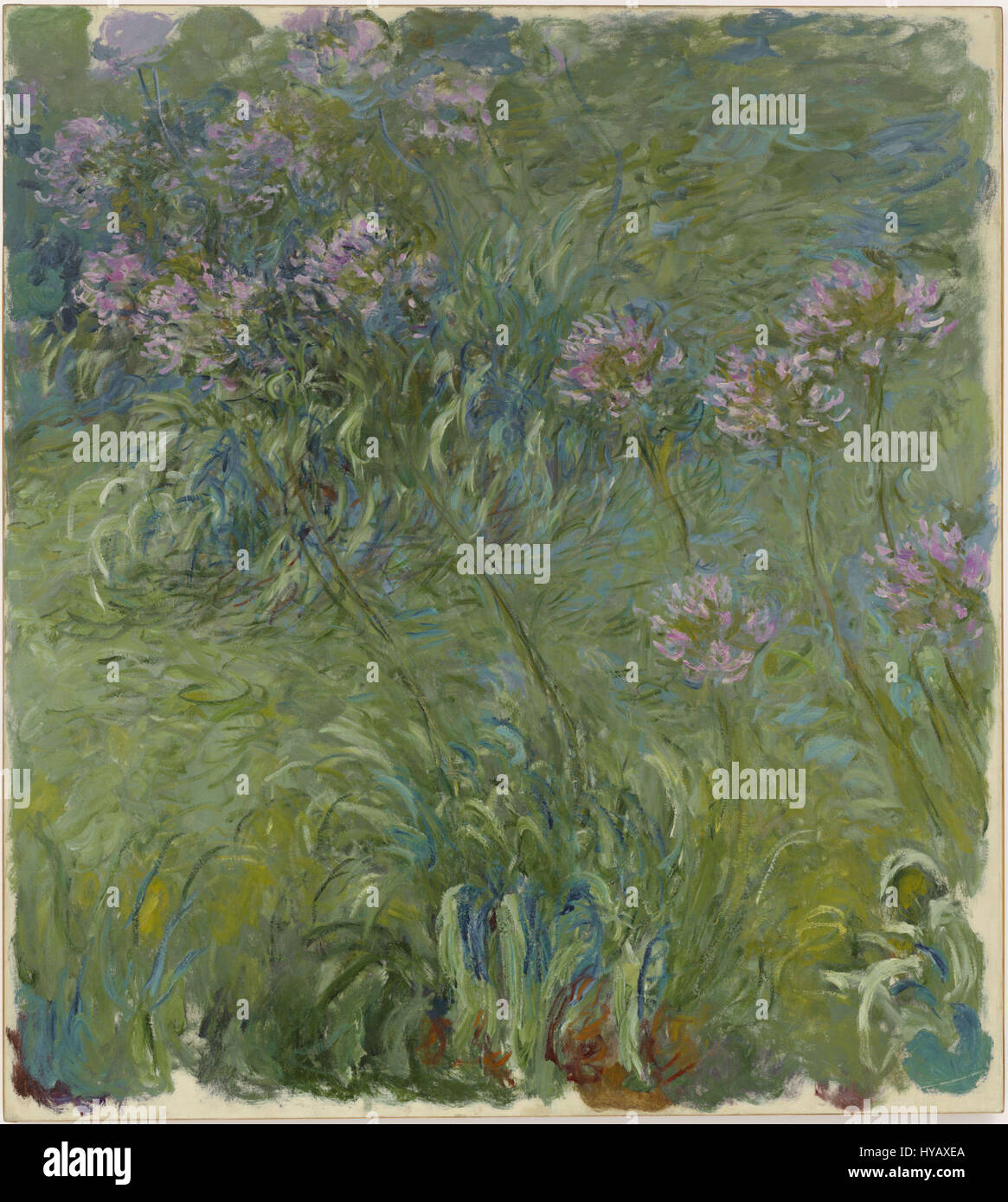 19th century flower monet hi-res stock photography and images - Alamy