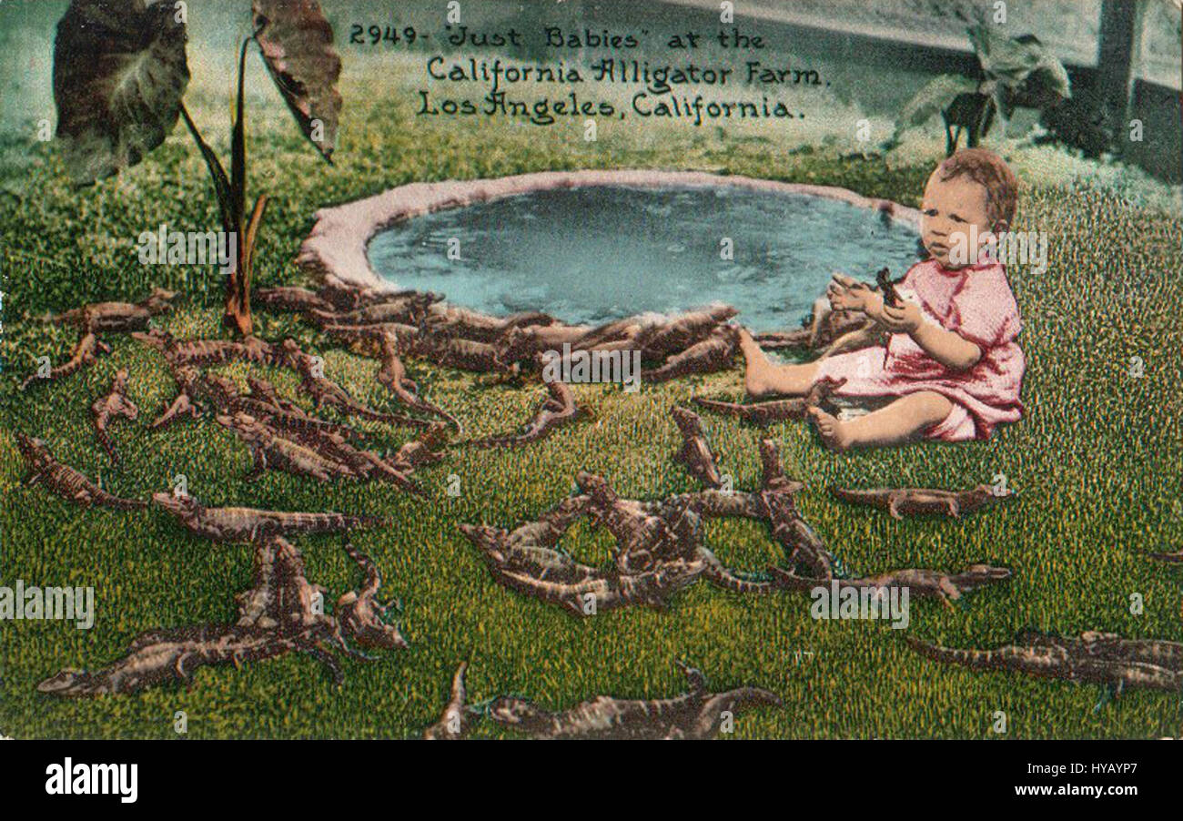 The Alligator Farm in Los Angeles, established in 1906, was one of the ...