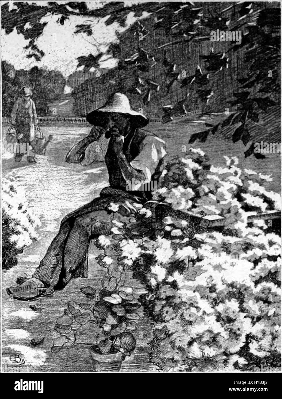 Tranquil rural scene captures Black and White Stock Photos & Images - Alamy