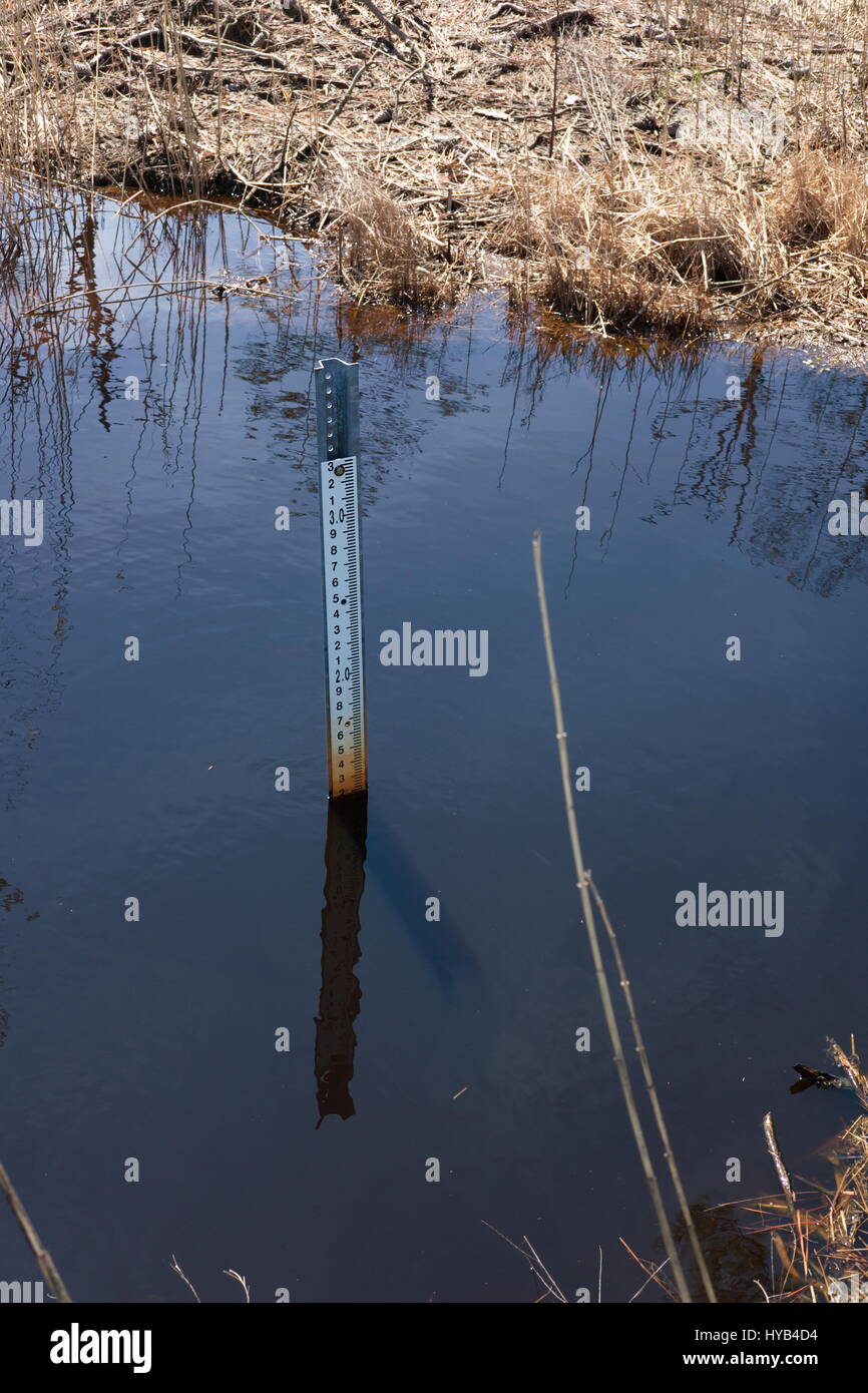 Green swamp wildlife management area hi-res stock photography and ...