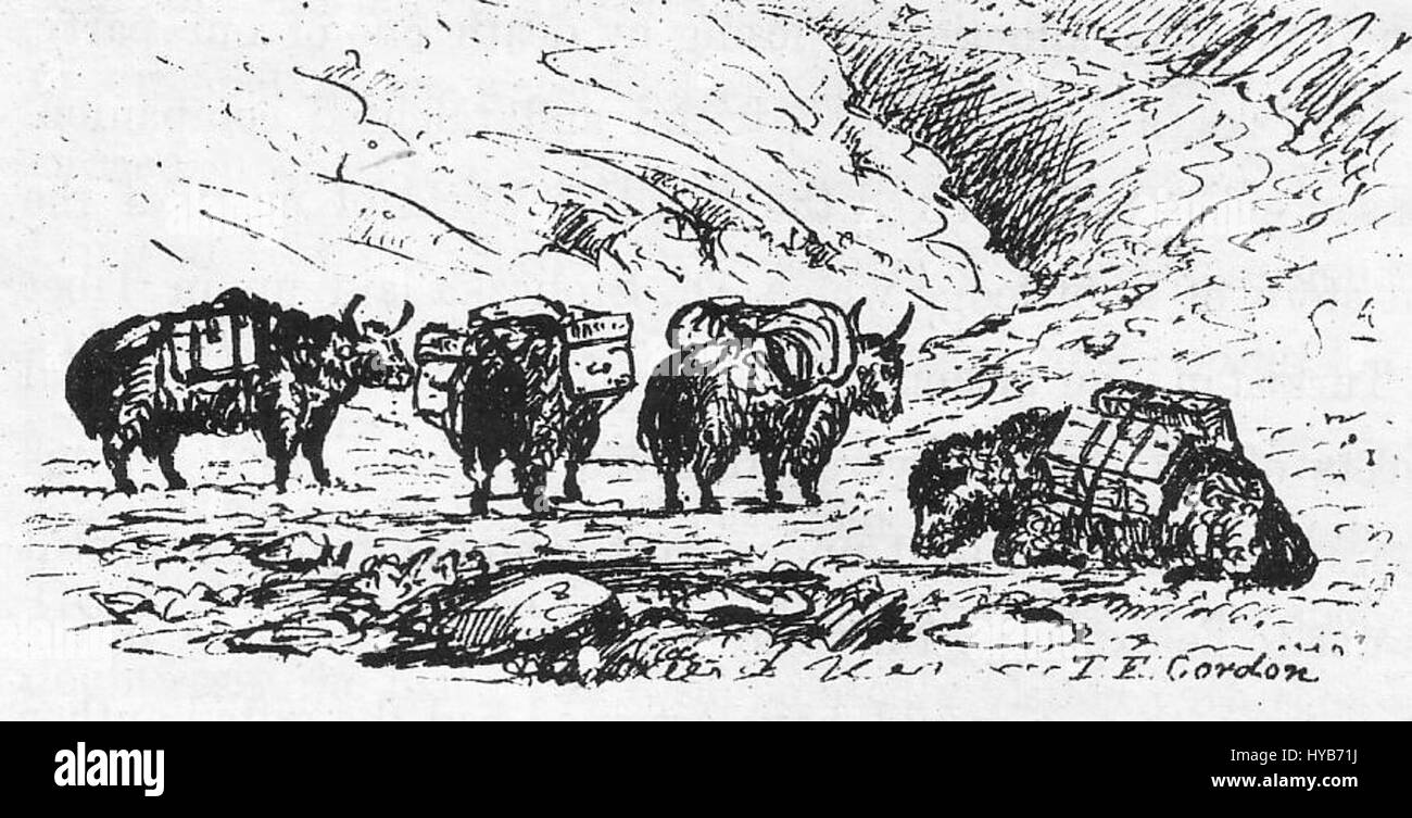 'Yaks with loads' depicts the traditional use of yaks as pack animals ...
