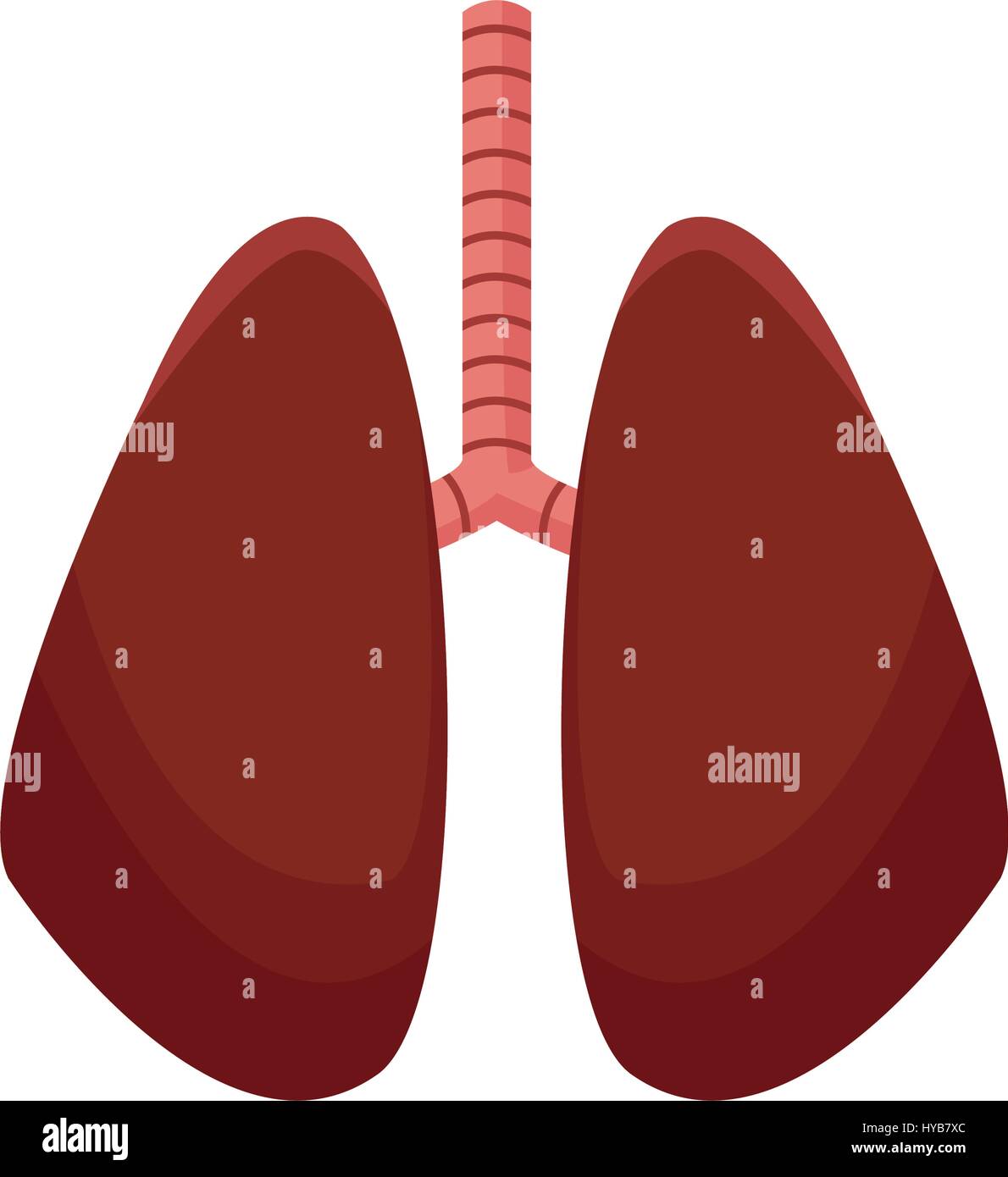 human organ icon Stock Vector Image & Art - Alamy
