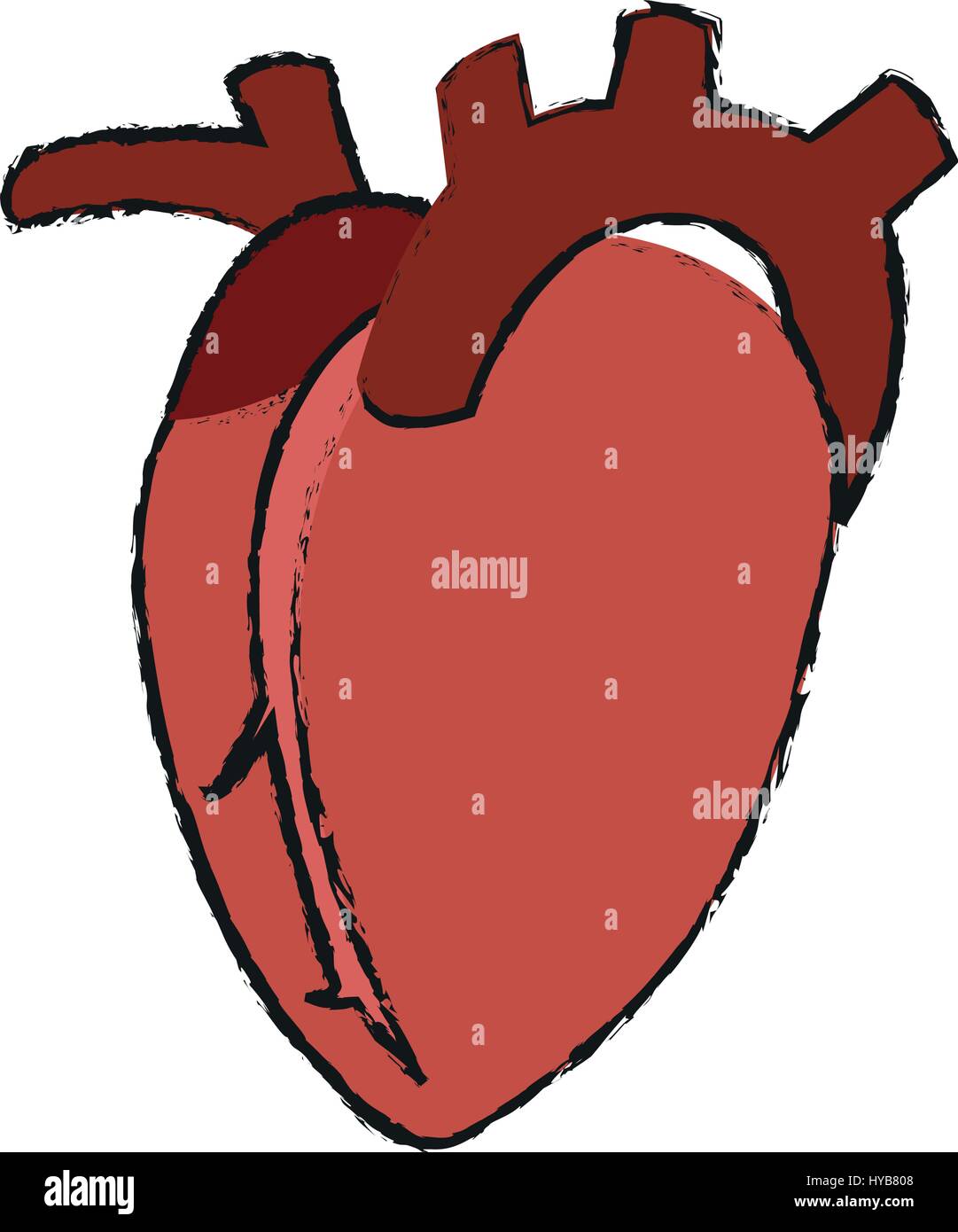 heart organ icon Stock Vector Image & Art - Alamy