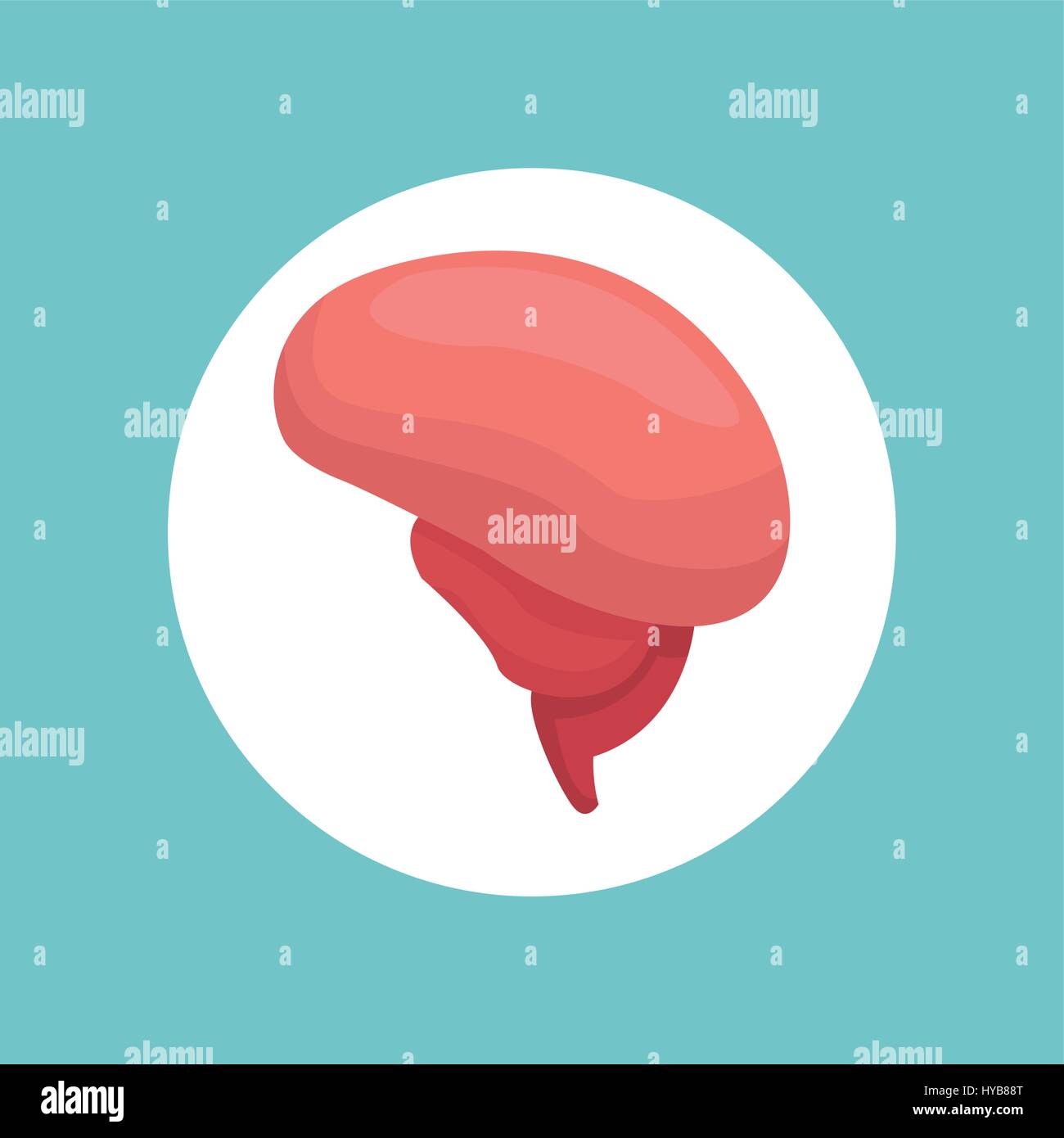 Decorative function Stock Vector Images - Alamy