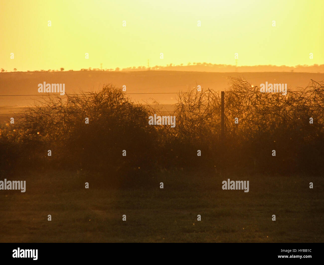 Soft focus orange sunset over rural land in South Australia Stock Photo ...