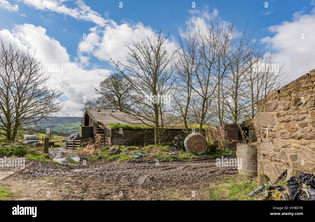 Beautiful Spring day in the Yorkshire Dales near Ilkley and Bolton ...