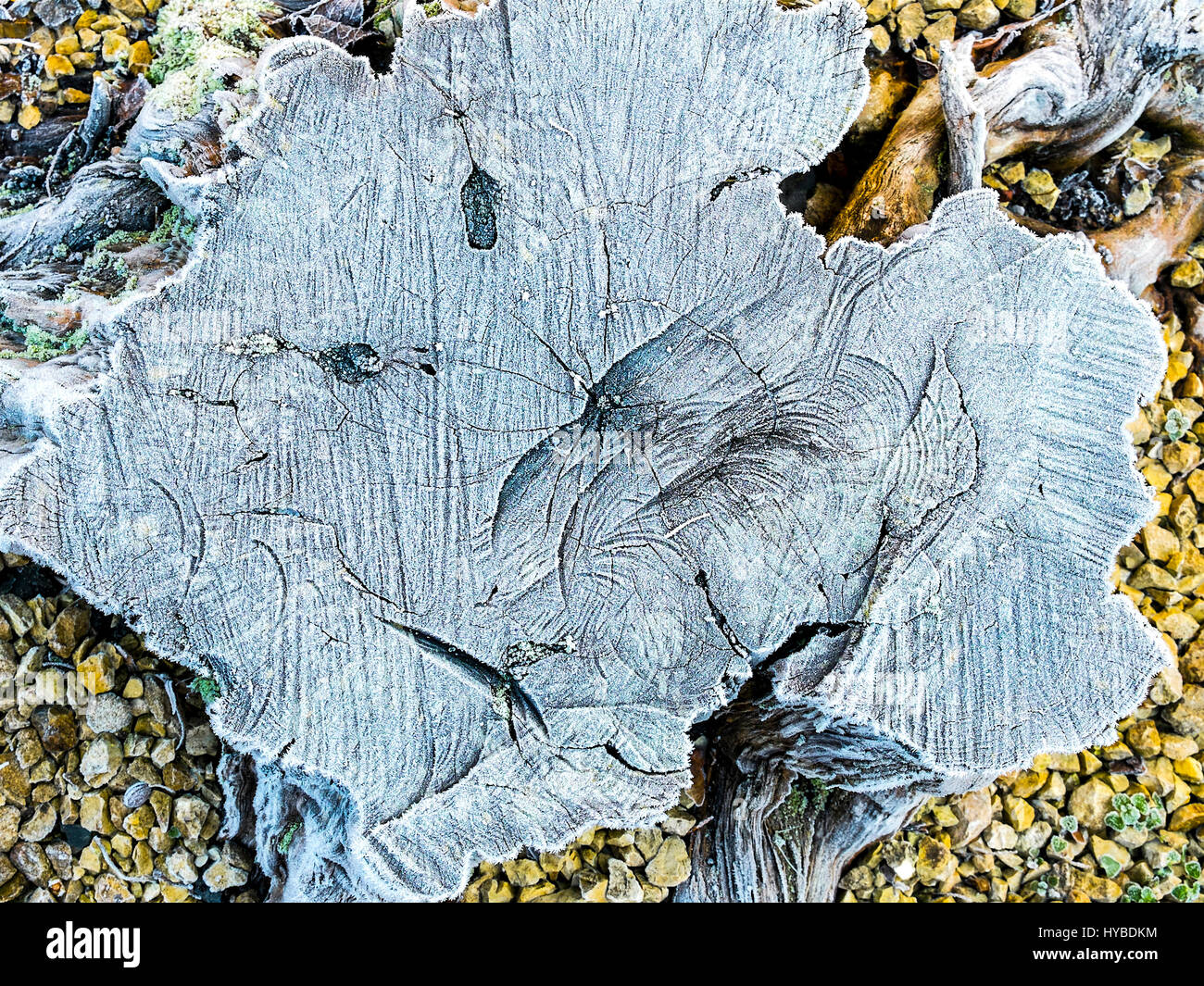 Frosty face hi-res stock photography and images - Alamy
