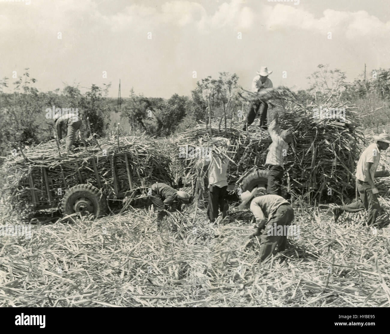 Puerto rico fields hi-res stock photography and images - Alamy
