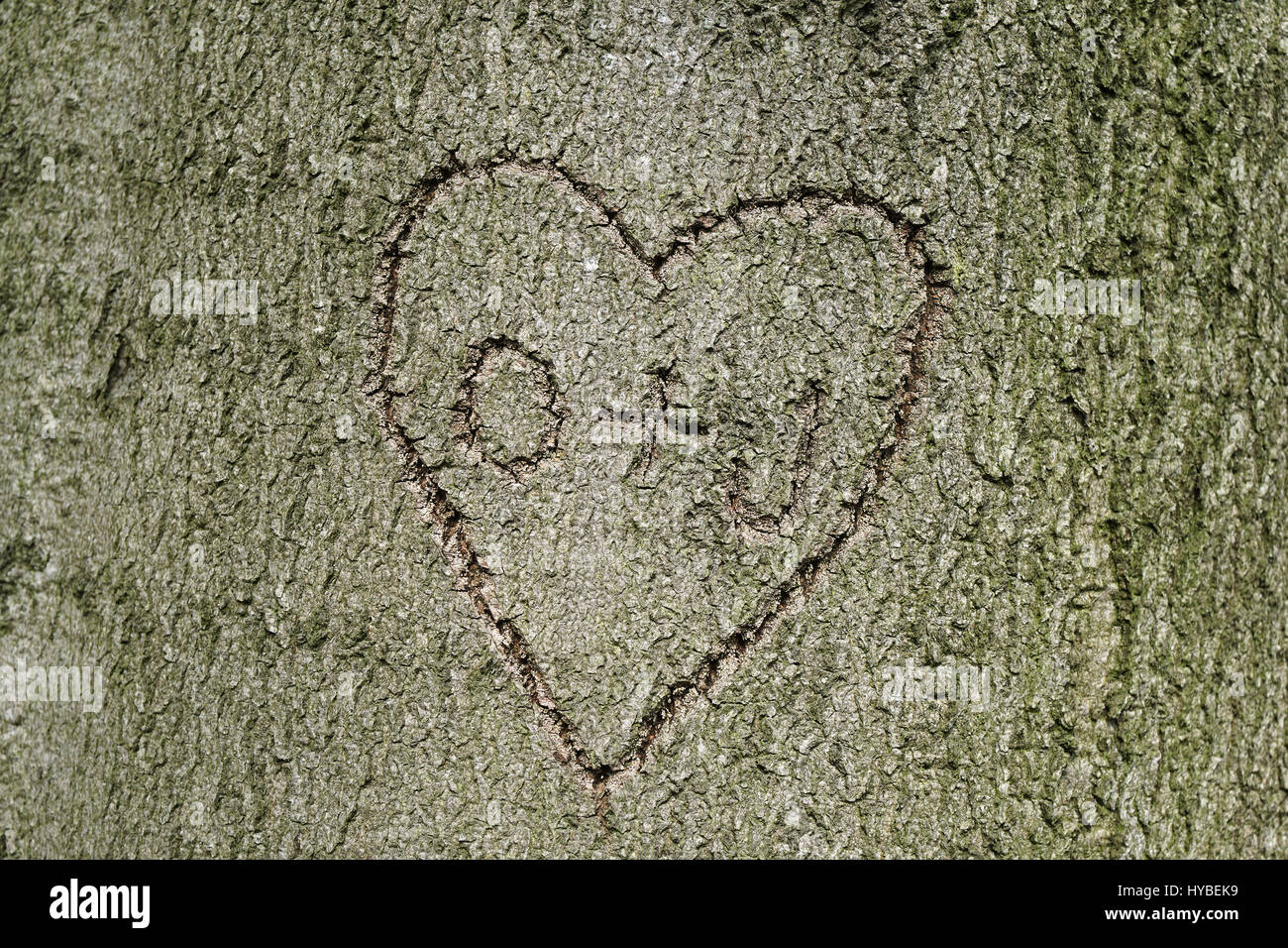 Tree with carved initials hi-res stock photography and images - Alamy