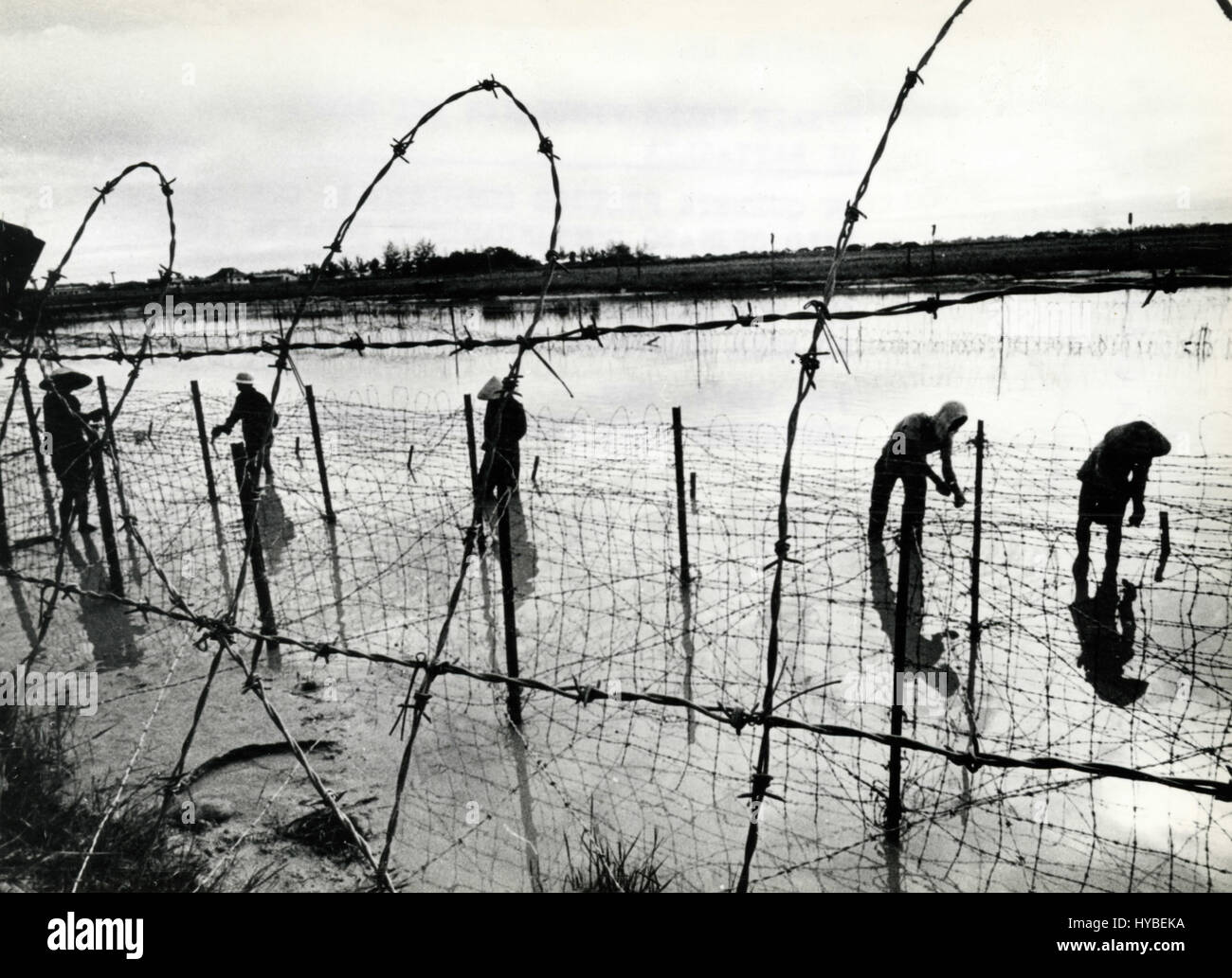 South Vietnam farmers in the rice fields, South Vietnam Stock Photo - Alamy