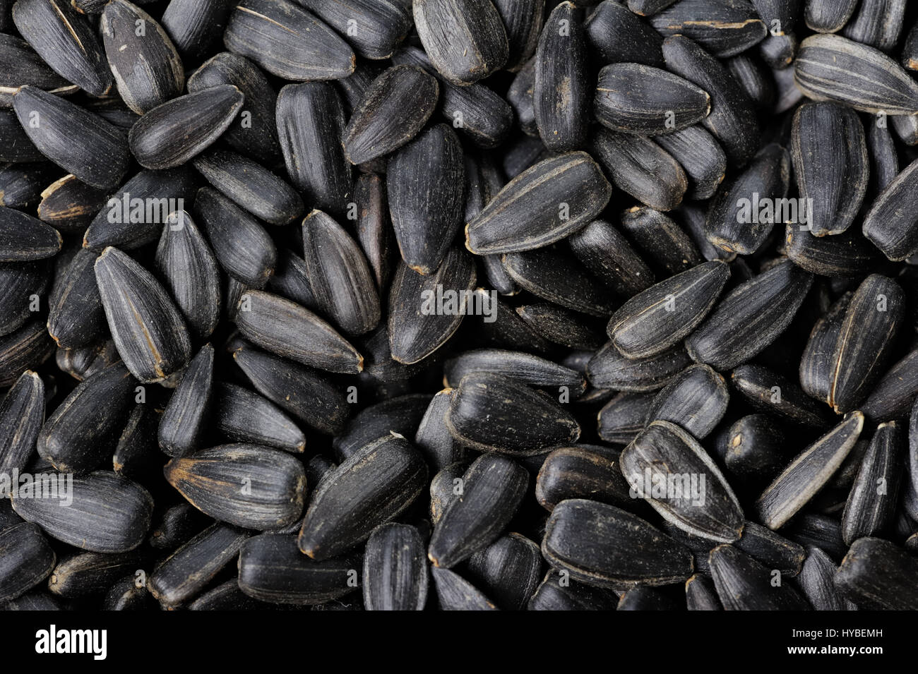 Sunflower seeds background Stock Photo - Alamy