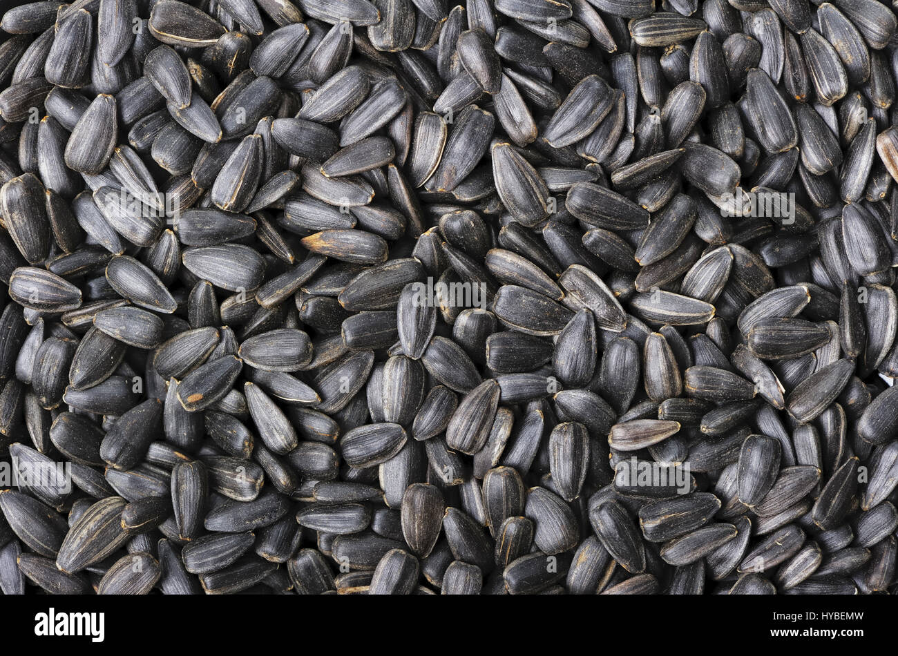 Sunflower seeds as texture Stock Photo - Alamy