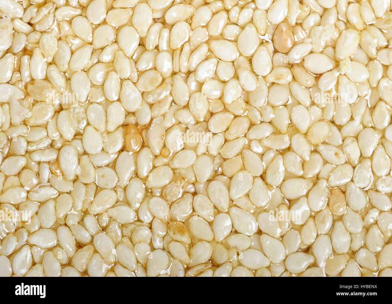 Sesame honey bar as background or texture Stock Photo - Alamy