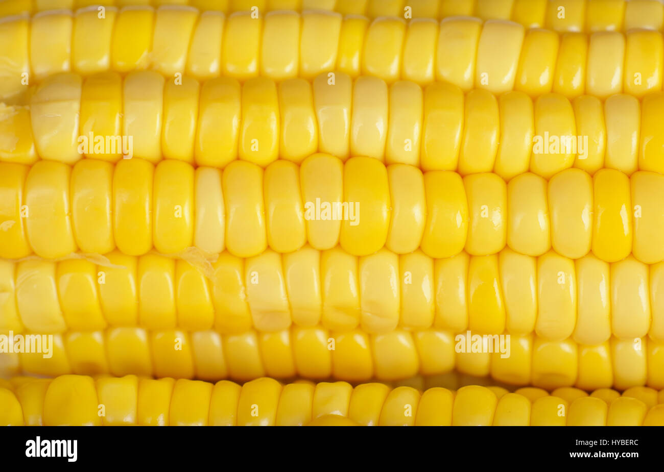 Yellow corn background macro closeup Stock Photo - Alamy