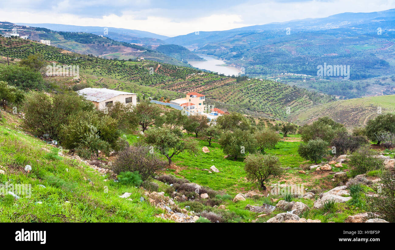 Travel to Middle East country Kingdom of Jordan - terraced gardens in ...