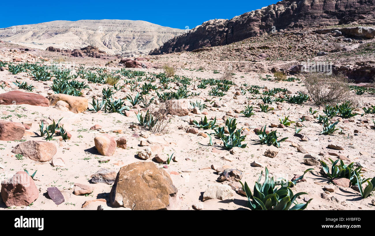Travel to Middle East country Kingdom of Jordan - sandstone stones in ...