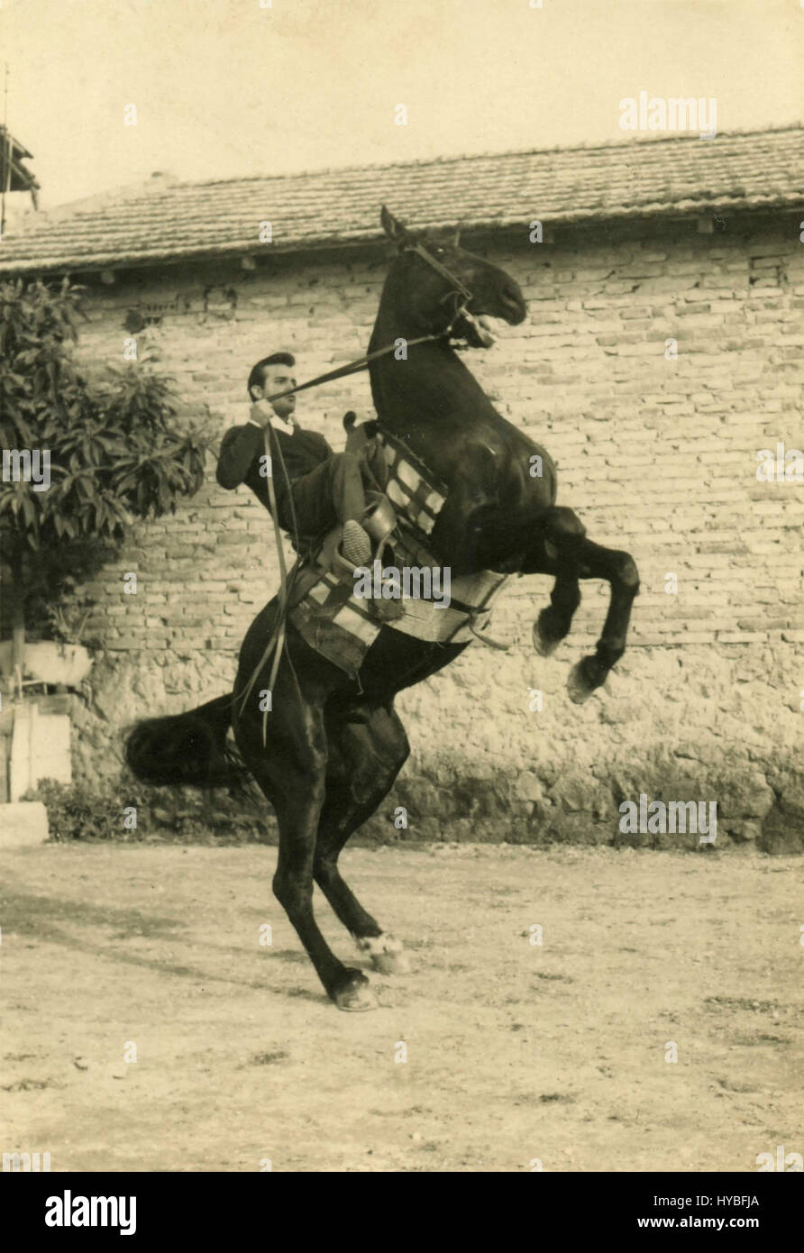 Man riding on prancing horse hi-res stock photography and images - Alamy