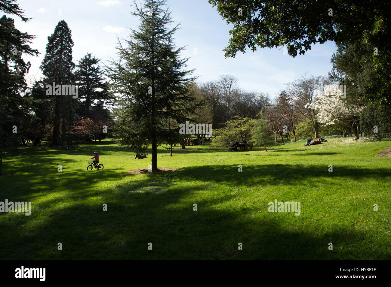 Phoenix park dublin hi-res stock photography and images - Alamy