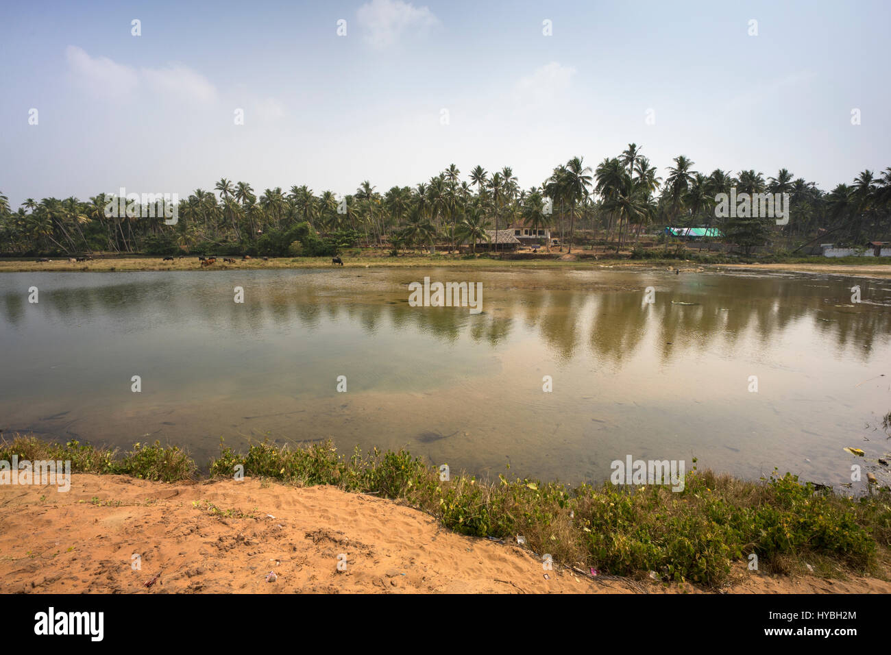 Kerala kerala varkala lake hi-res stock photography and images - Alamy