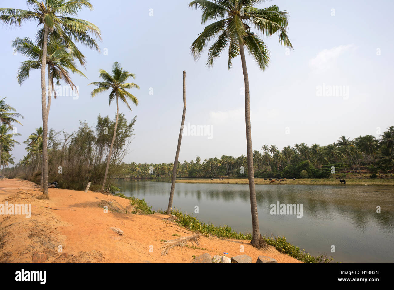 Kerala kerala varkala lake hi-res stock photography and images - Alamy