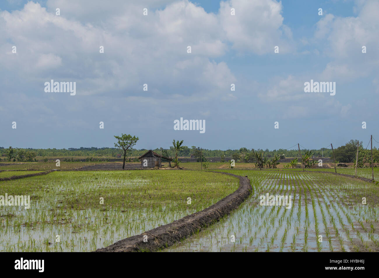 Villagesociety hi-res stock photography and images - Alamy