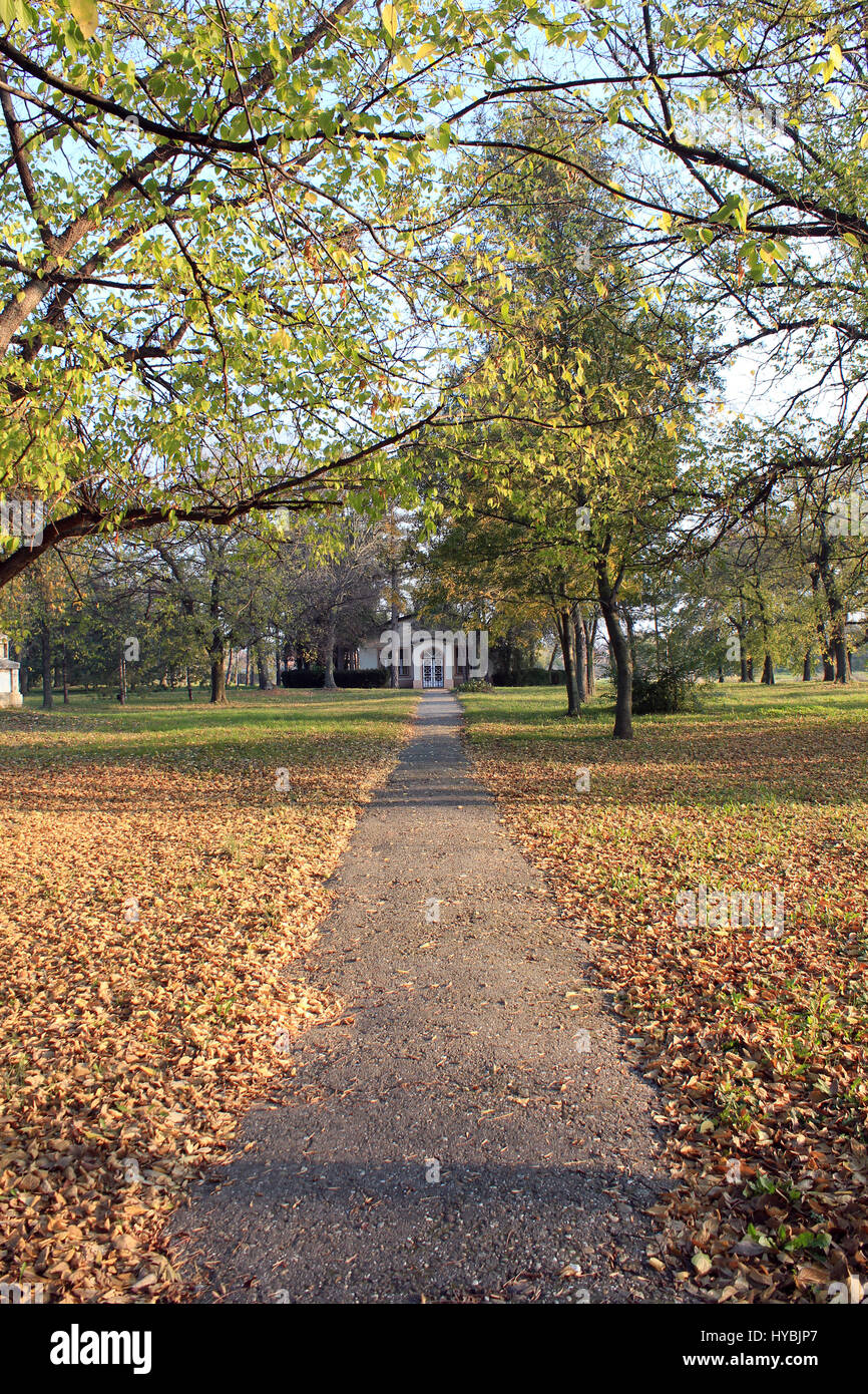 house with path in autumn park Stock Photo - Alamy